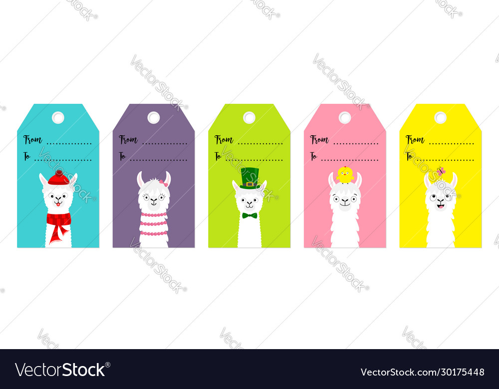 Gift tag set alpaca llama cute cartoon funny lama Vector Image