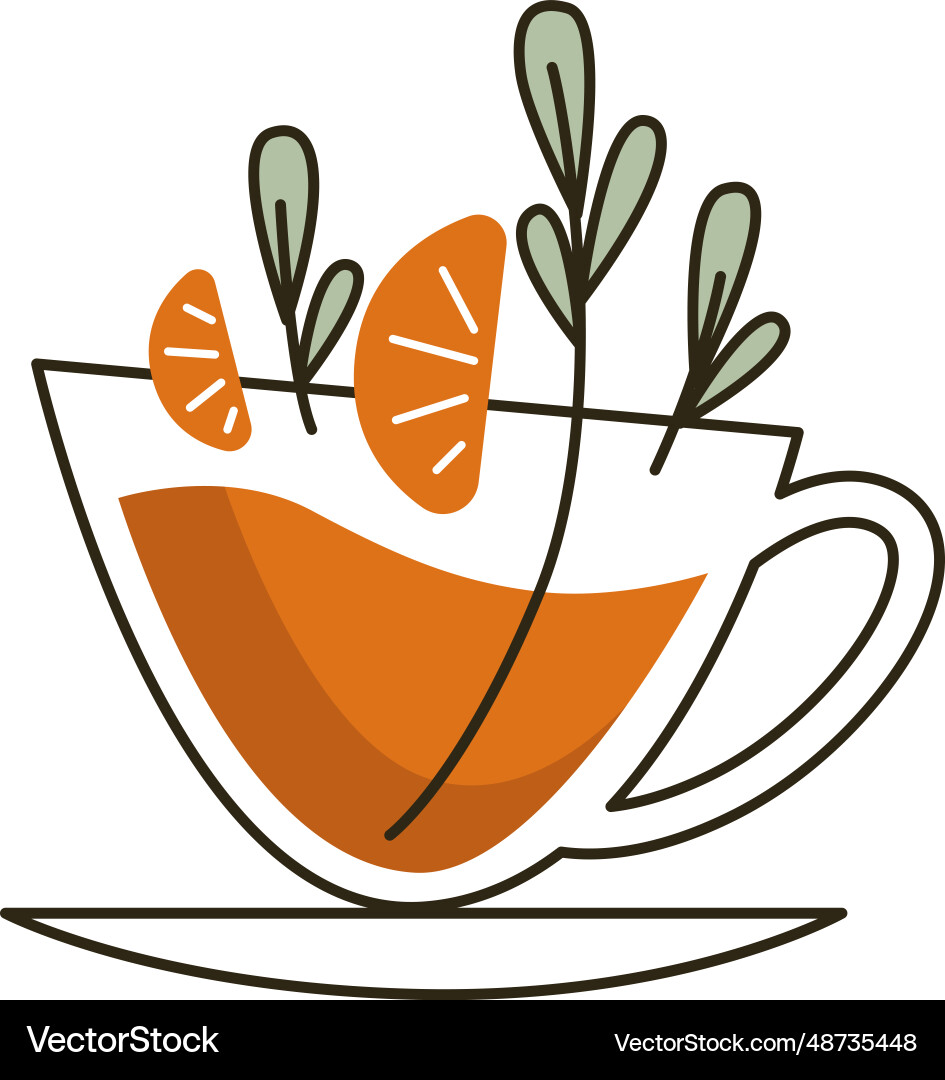Organic and natural tea with orange mints Vector Image