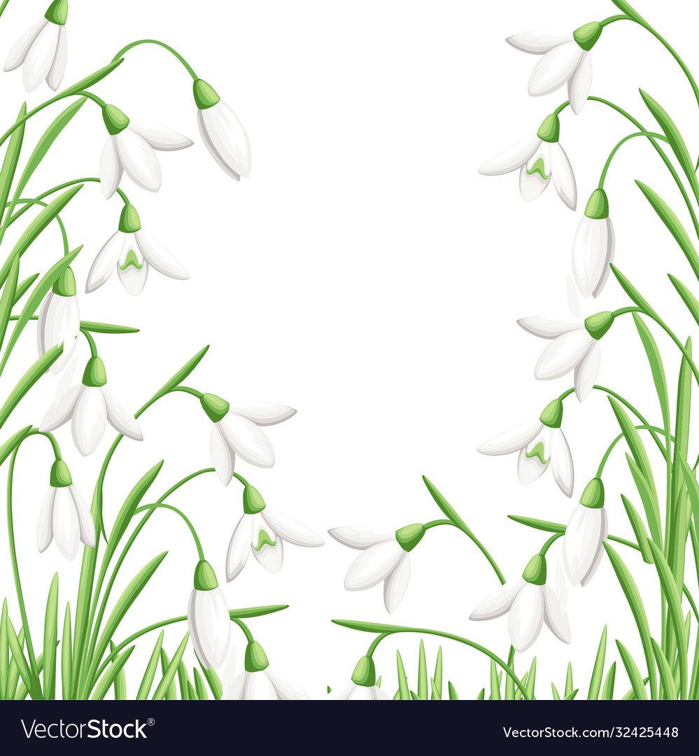 Pattern spring flower first snowdrops Royalty Free Vector
