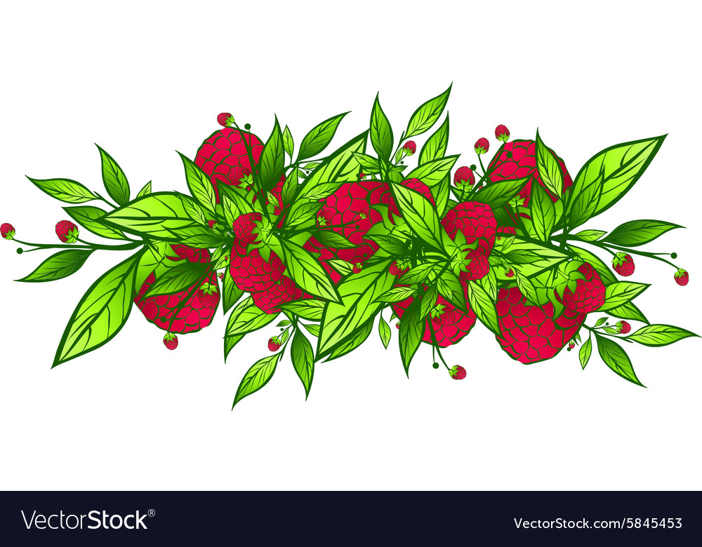 Raspberry Border Royalty Free Vector Image - VectorStock