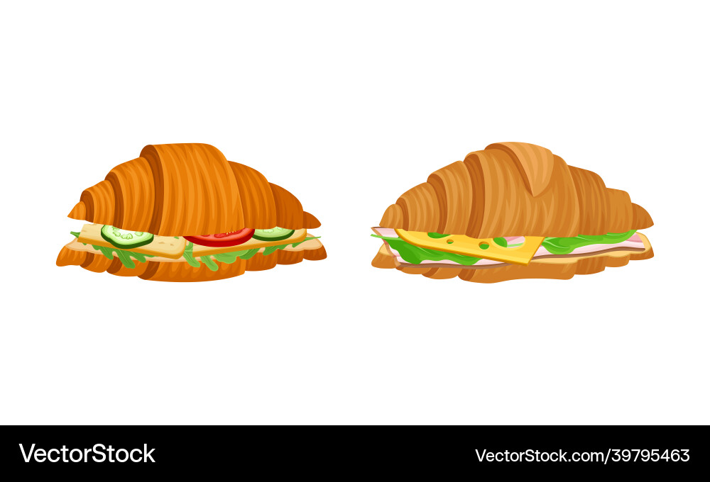 Crunchy croissants with various ingredients set Vector Image