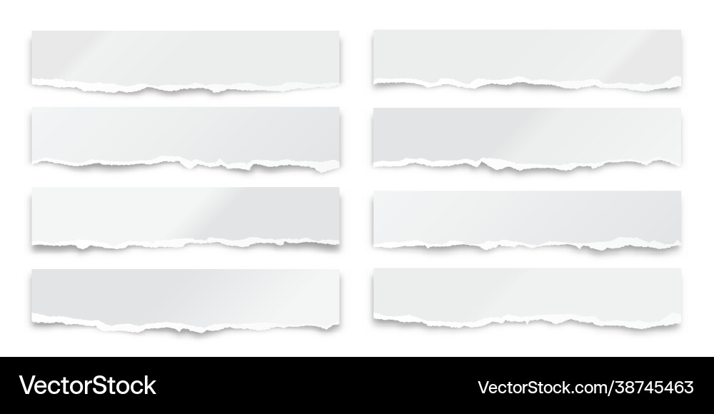 Ripped paper strips isolated on white background Vector Image