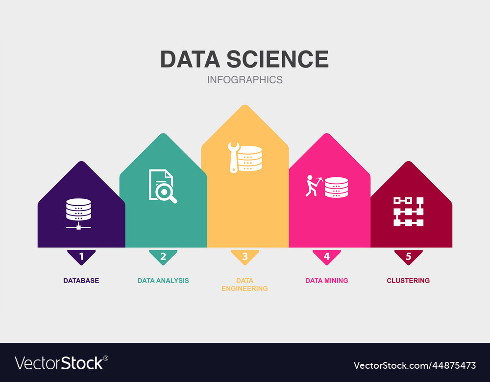 Database data analysis data engineering data Vector Image