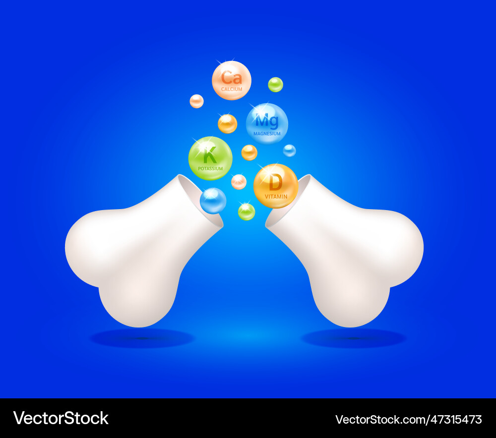 Healthy bones calcium potassium magnesium Vector Image