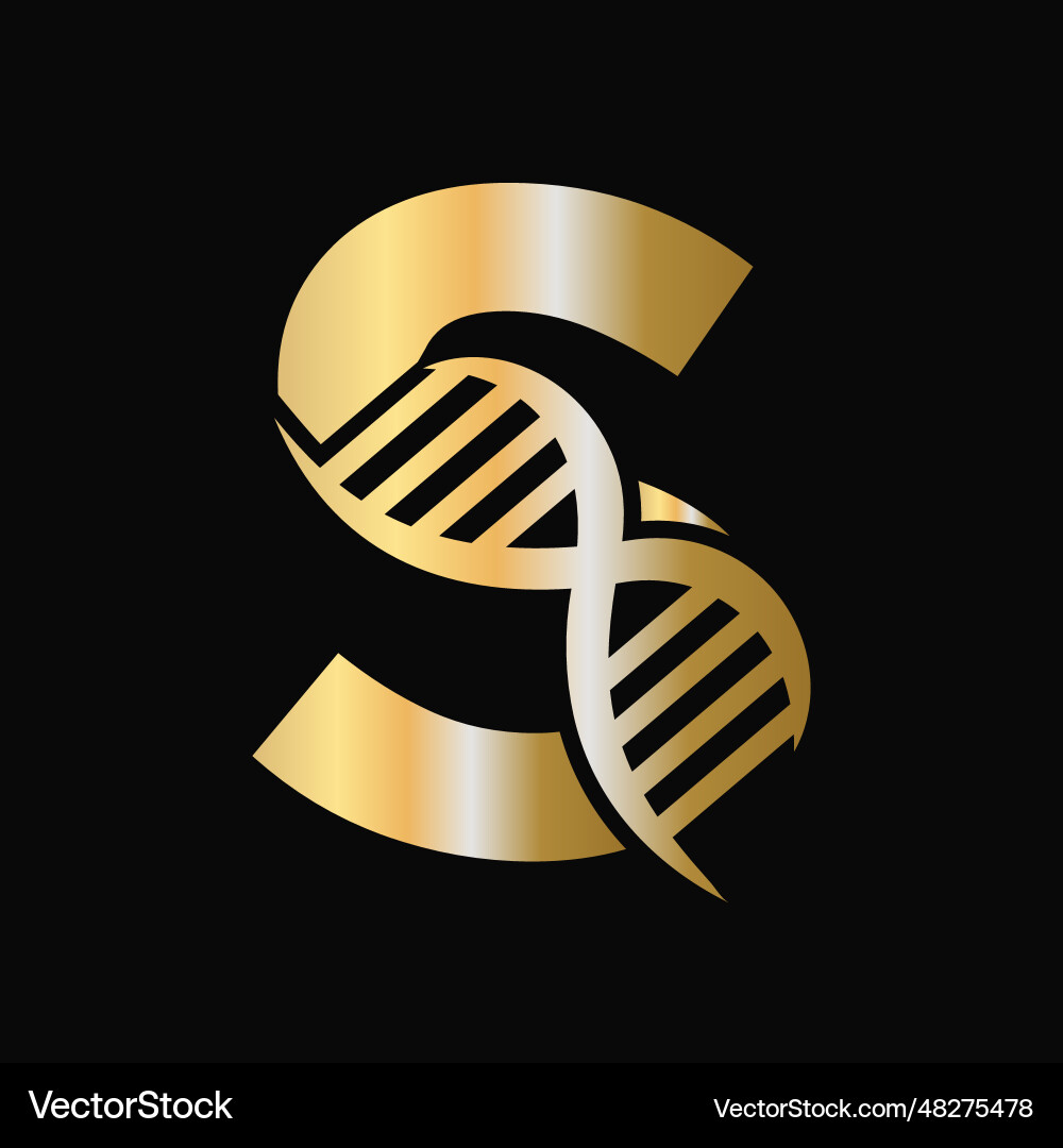 Letter s dna logo design concept with cell Vector Image