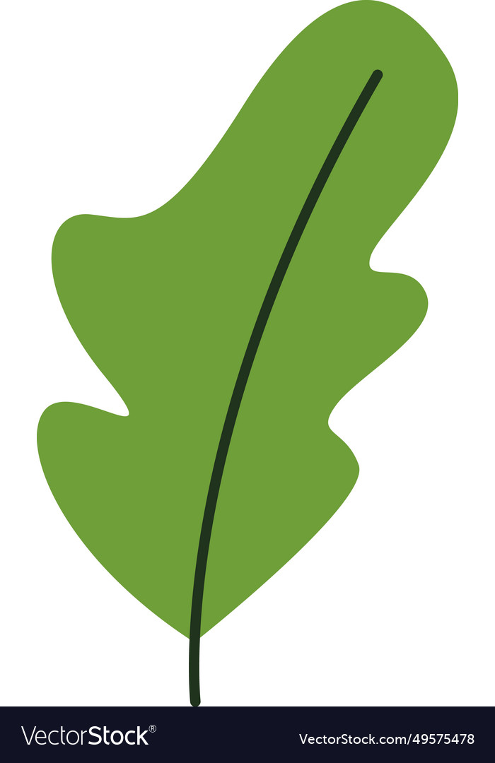 Oak tree leaf Royalty Free Vector Image - VectorStock