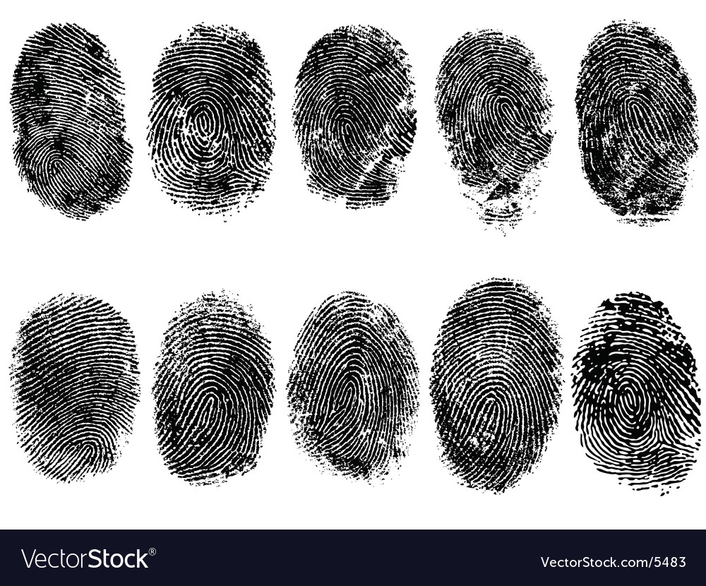 10 Fingerprints Royalty Free Vector Image VectorStock