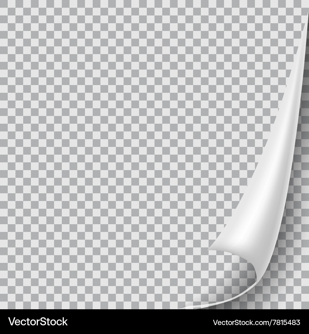 Blank sheet paper with page curl and shadow Vector Image