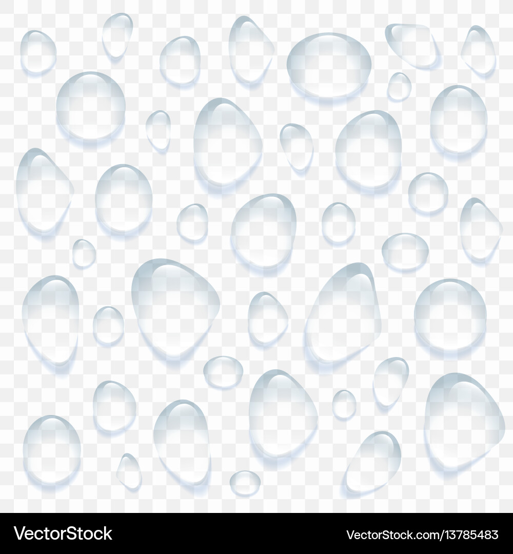 Clear transparent water drops isolated on the Vector Image