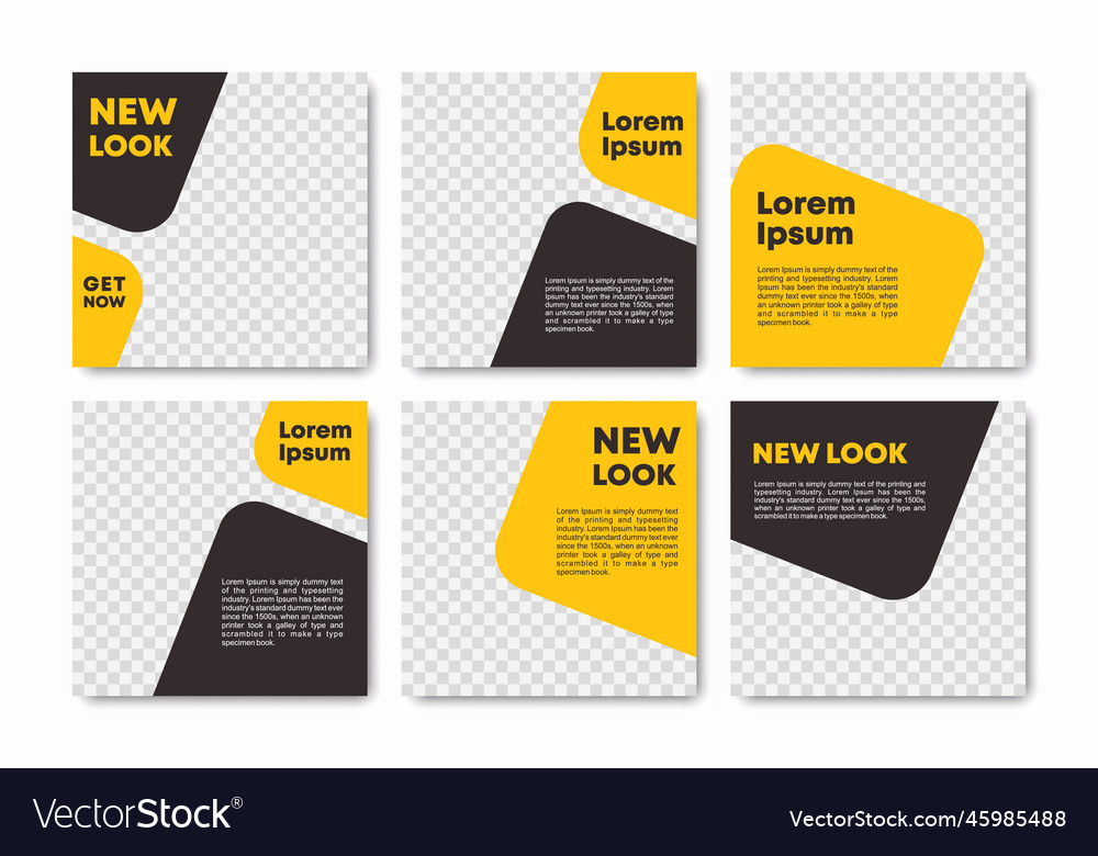 Set of design templates for social media feed Vector Image