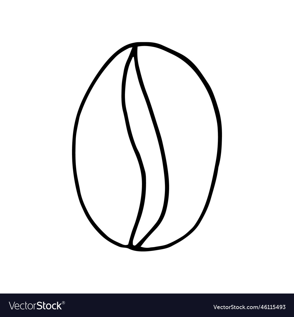 Coffee bean hand drawn in doodle style suitable Vector Image