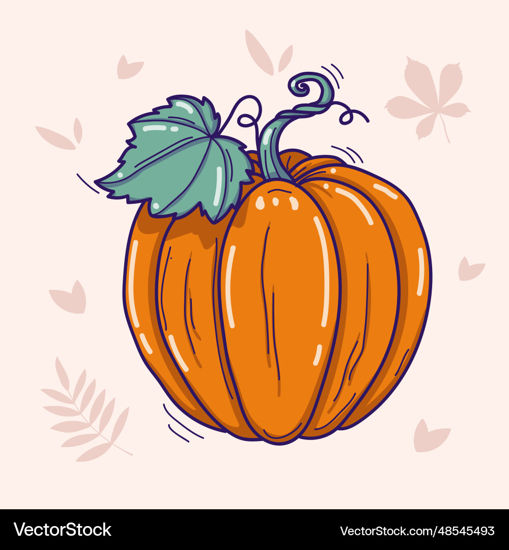 Hand drawn of pumpkin Royalty Free Vector Image