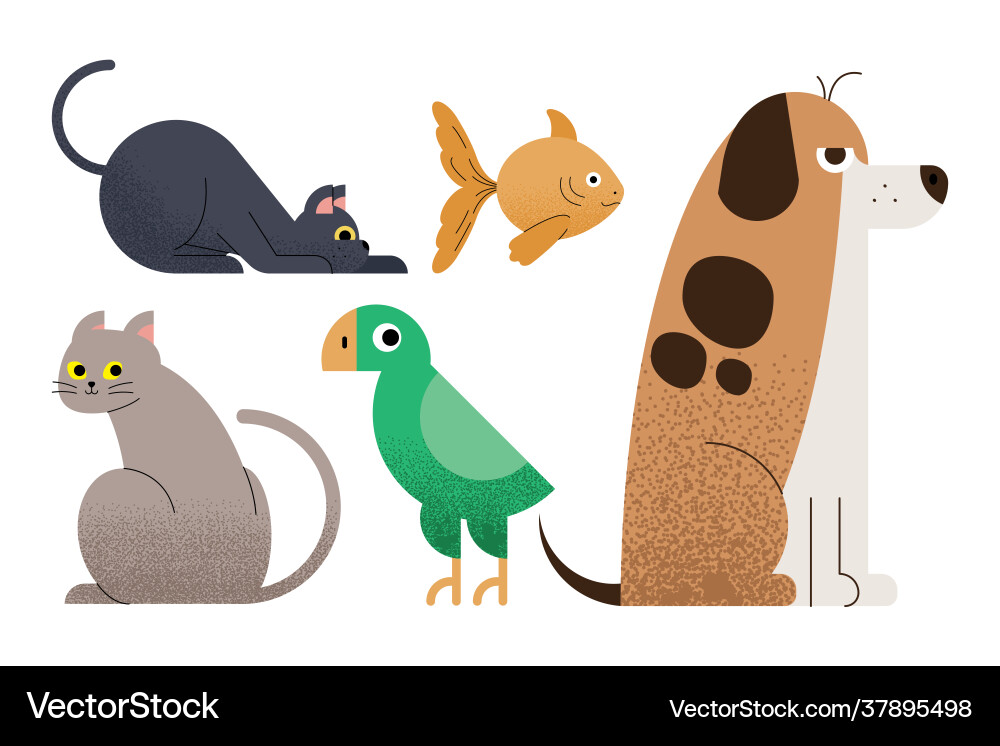 Group pets Royalty Free Vector Image - VectorStock