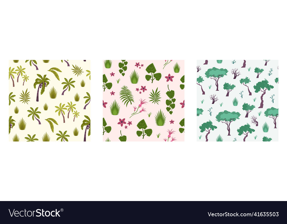 Rainforest plants square patterns Royalty Free Vector Image