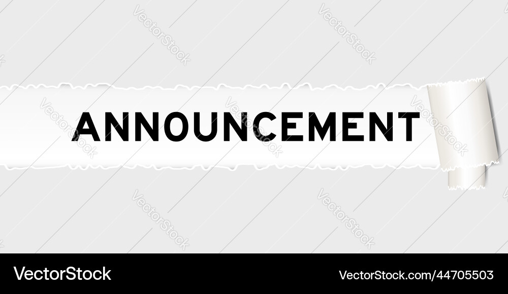 Ripped gray paper background that have word Vector Image