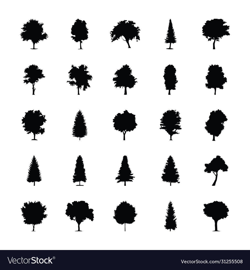 Trees solid Royalty Free Vector Image - VectorStock