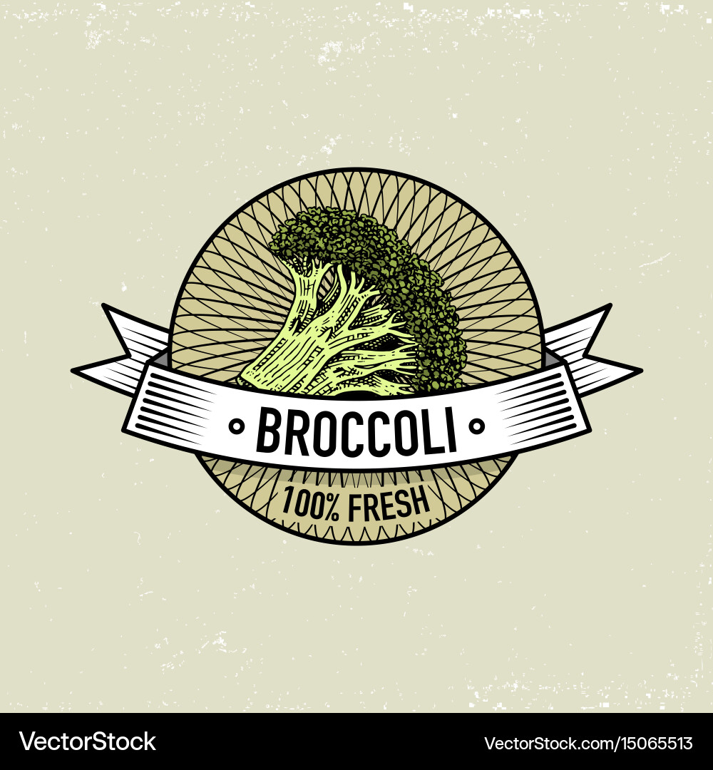Broccoli vintage set of labels emblems or logo Vector Image