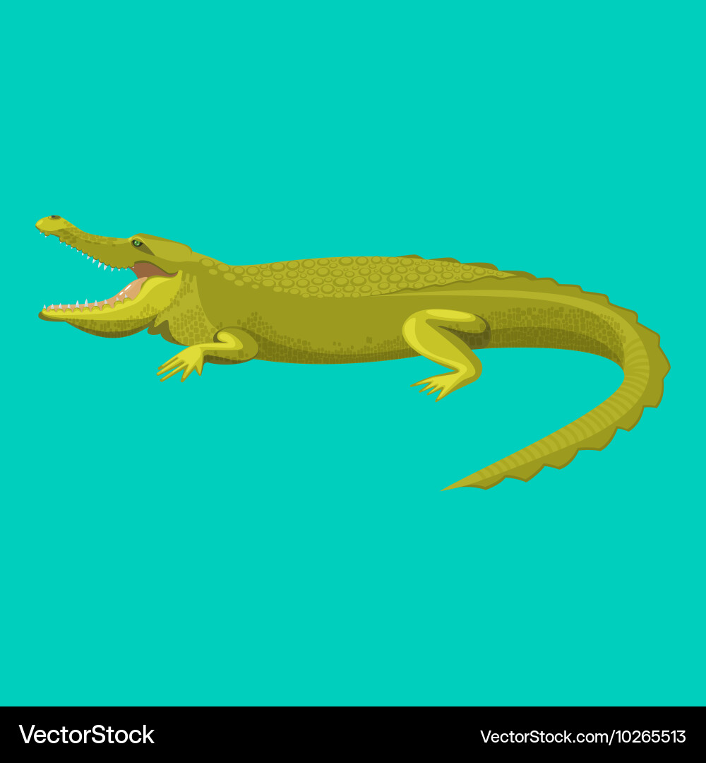 Dangerous green alligator is showing his teeth Vector Image