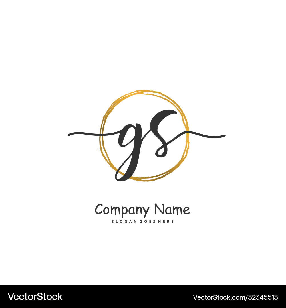 G s gs initial handwriting and signature logo Vector Image