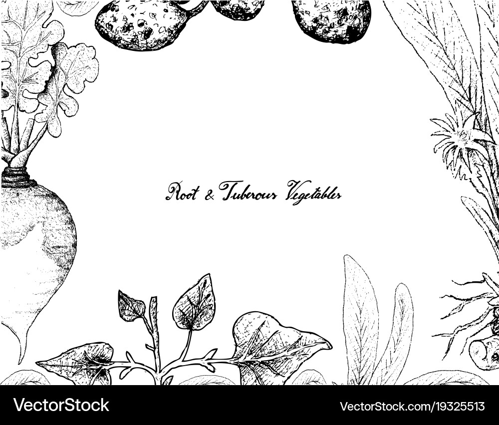 Hand drawn frame of root and tuberous vegetables Vector Image