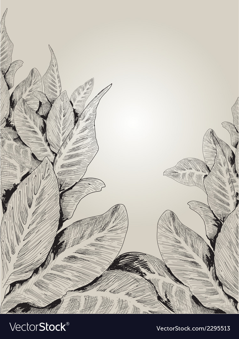 Leaves Royalty Free Vector Image - VectorStock