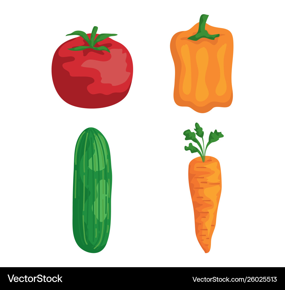 Set tomato with pepper and cucumber carrot Vector Image