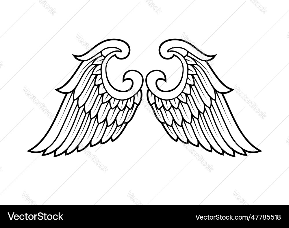 Classic beautiful angel wings Royalty Free Vector Image