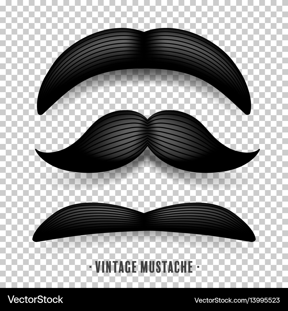Mustache isolated on white black vintage Vector Image