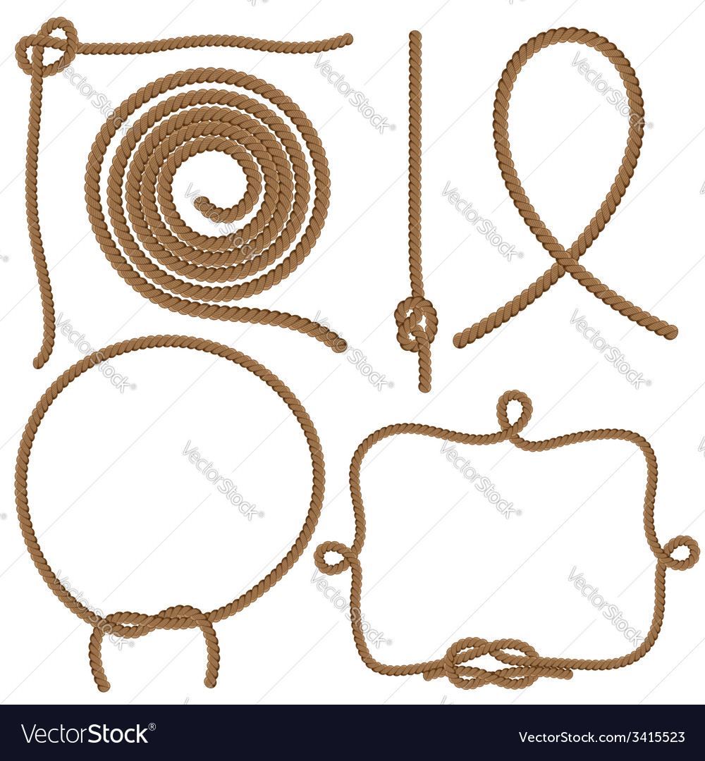 Ropes and knots Royalty Free Vector Image - VectorStock
