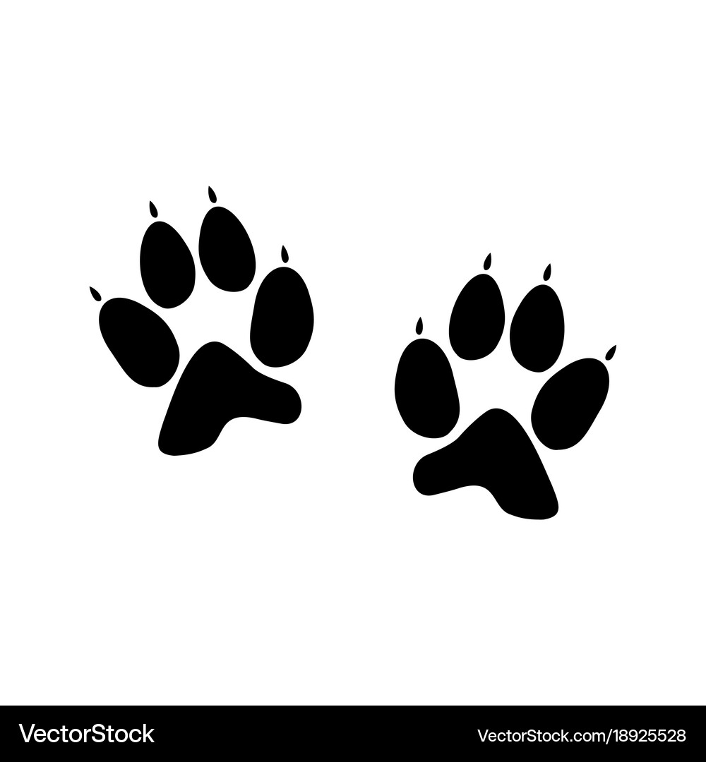 Close-up Dog Paw Print Royalty Free Vector Image