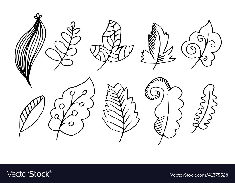 Doodle Abstract Leaves Set On White Background Vector Image