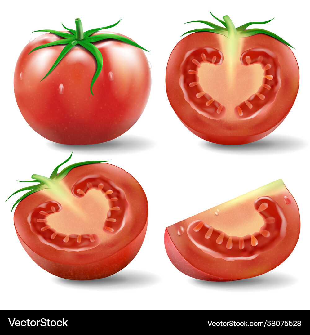 Tomato set a set realistic ripe tomato in Vector Image