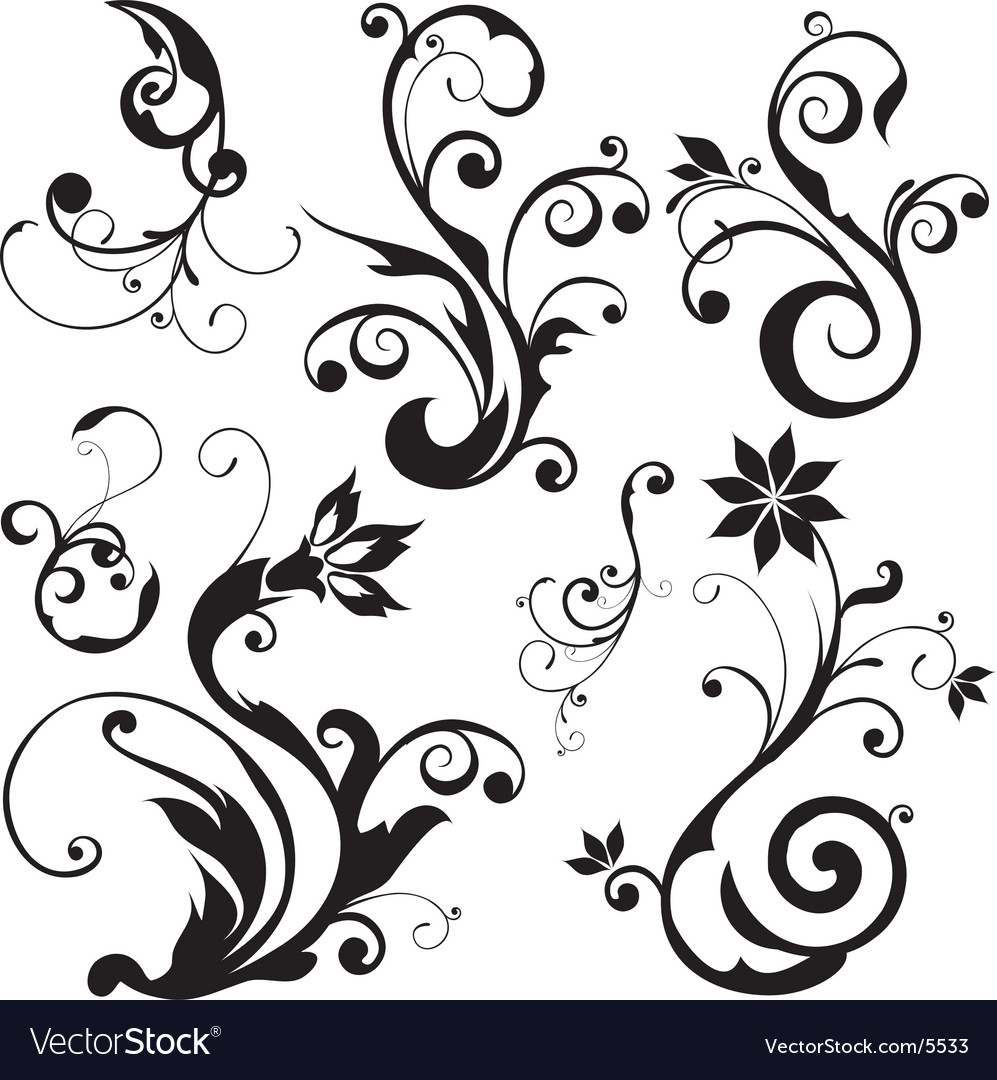 Floral design elements Royalty Free Vector Image