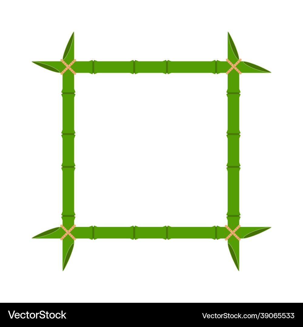 Green bamboo frame wood design nature isolated Vector Image