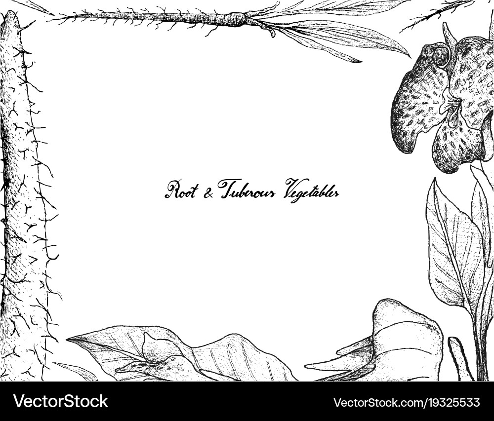 Hand drawn frame of root and tuberous vegetables Vector Image