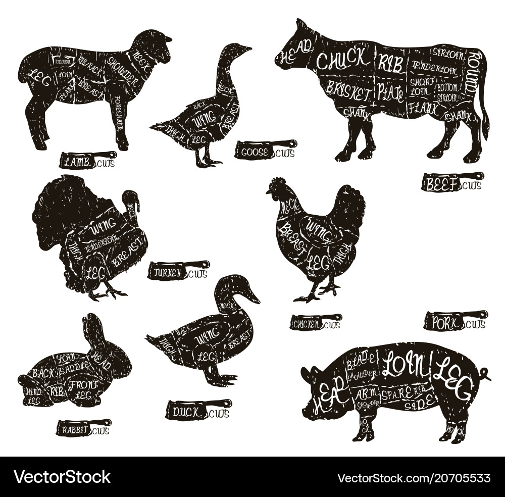 Meat symbols vintage cut scheme Royalty Free Vector Image