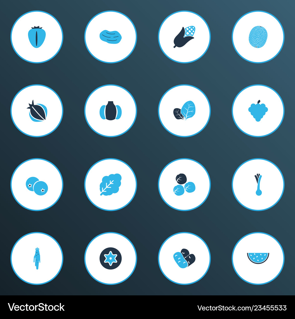 Vegetable icons colored set with sorrel tasty Vector Image