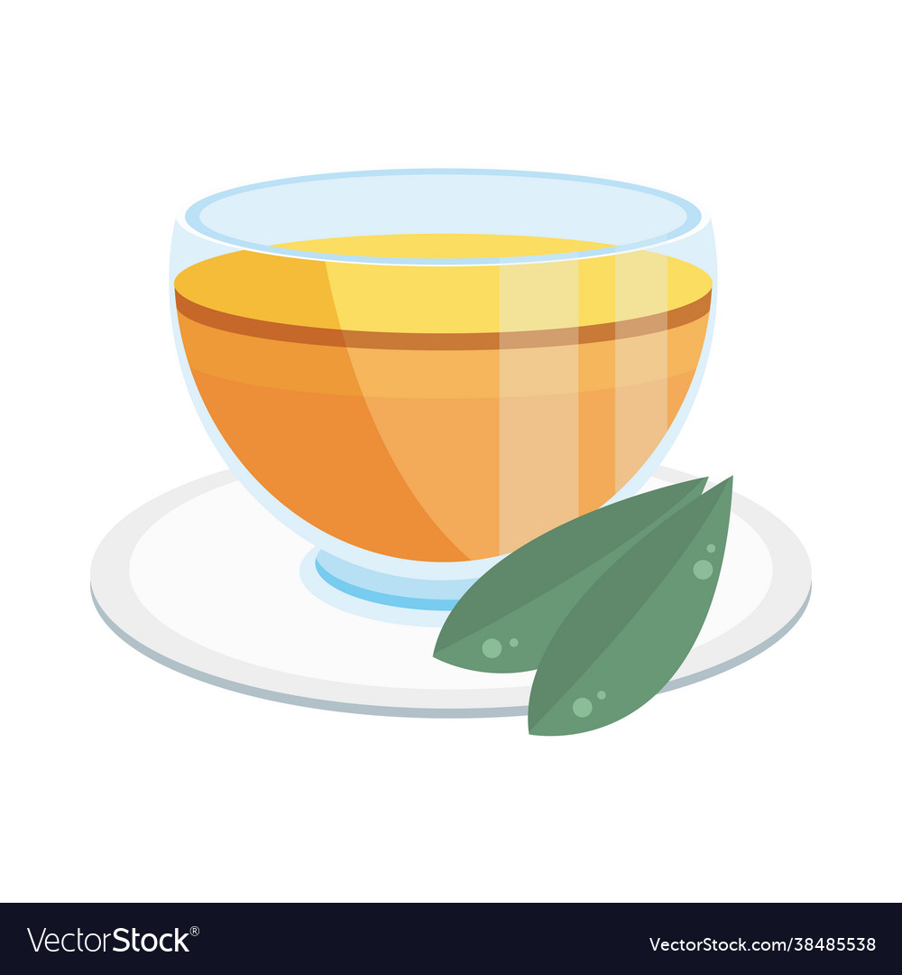 Herbal tea in cup Royalty Free Vector Image - VectorStock