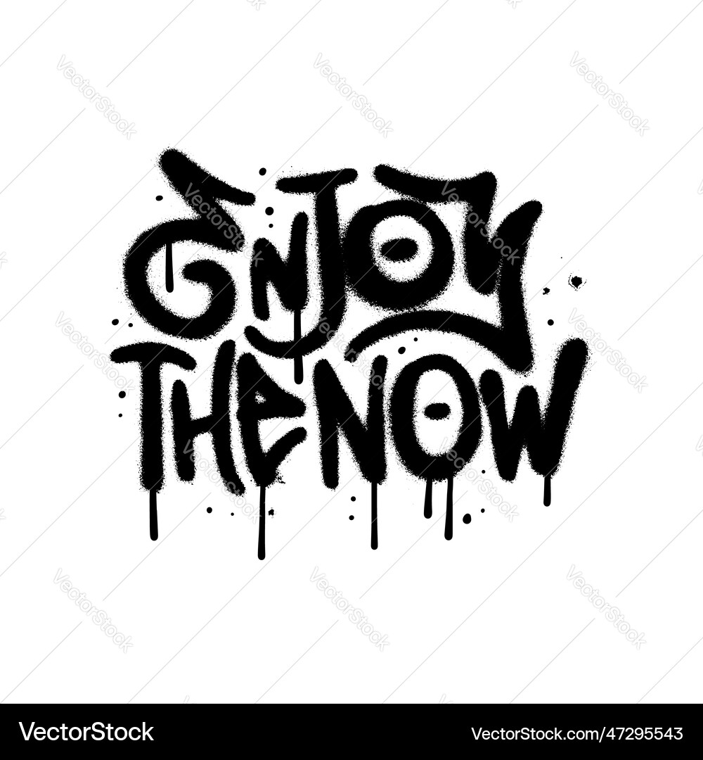 Enjoy the now - decorative hand drawn lettering Vector Image