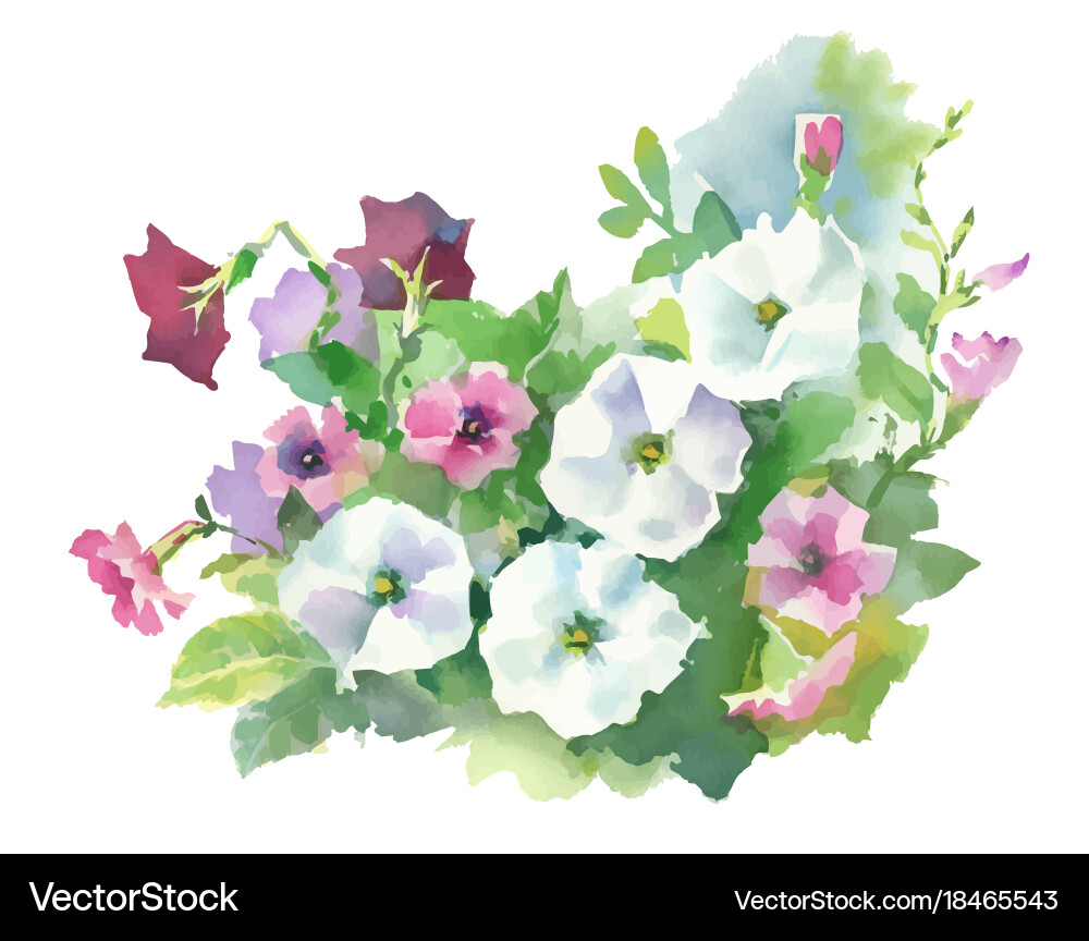 Hand drawn flowers isolated on white background Vector Image
