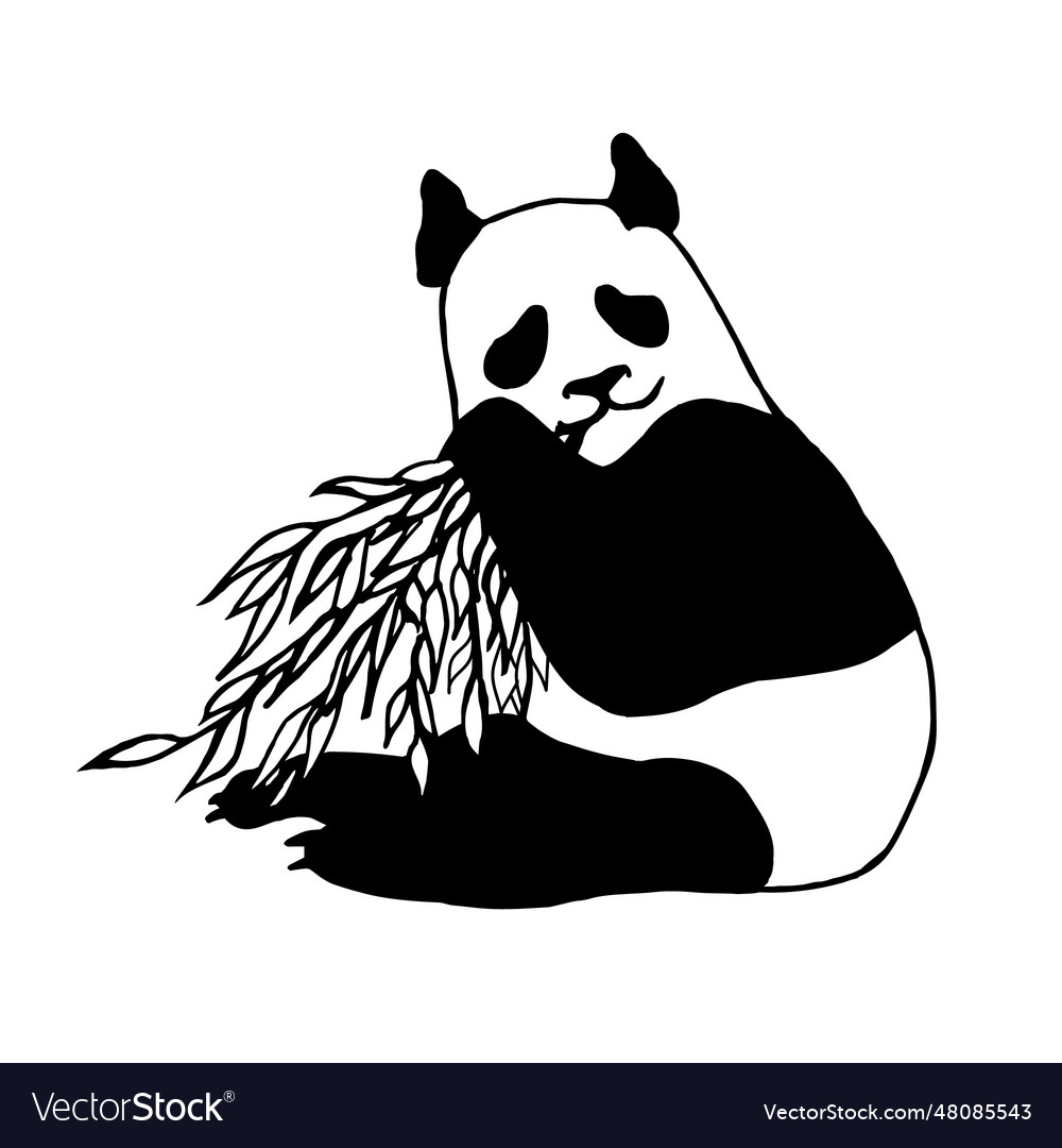 Panda Royalty Free Vector Image - VectorStock