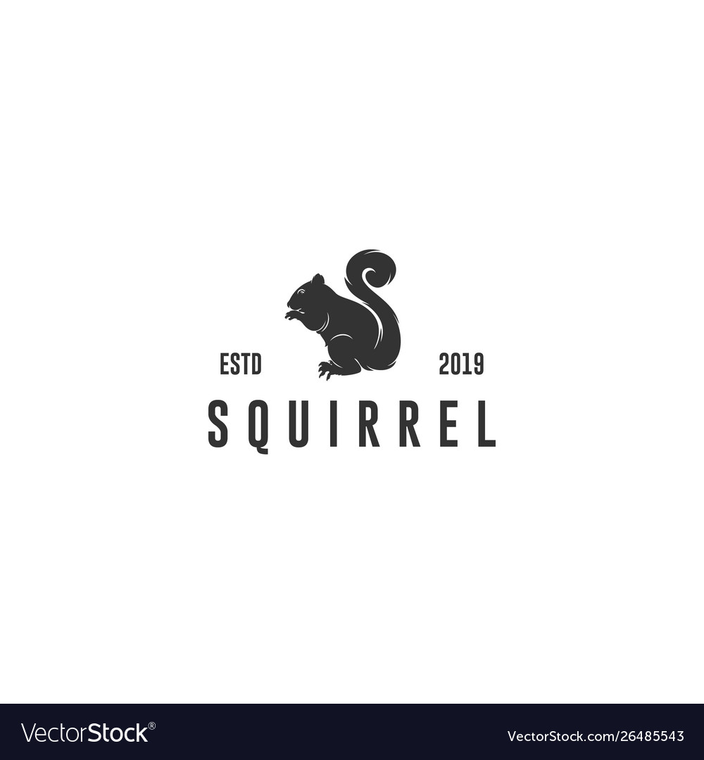 Squirrel logo Royalty Free Vector Image - VectorStock
