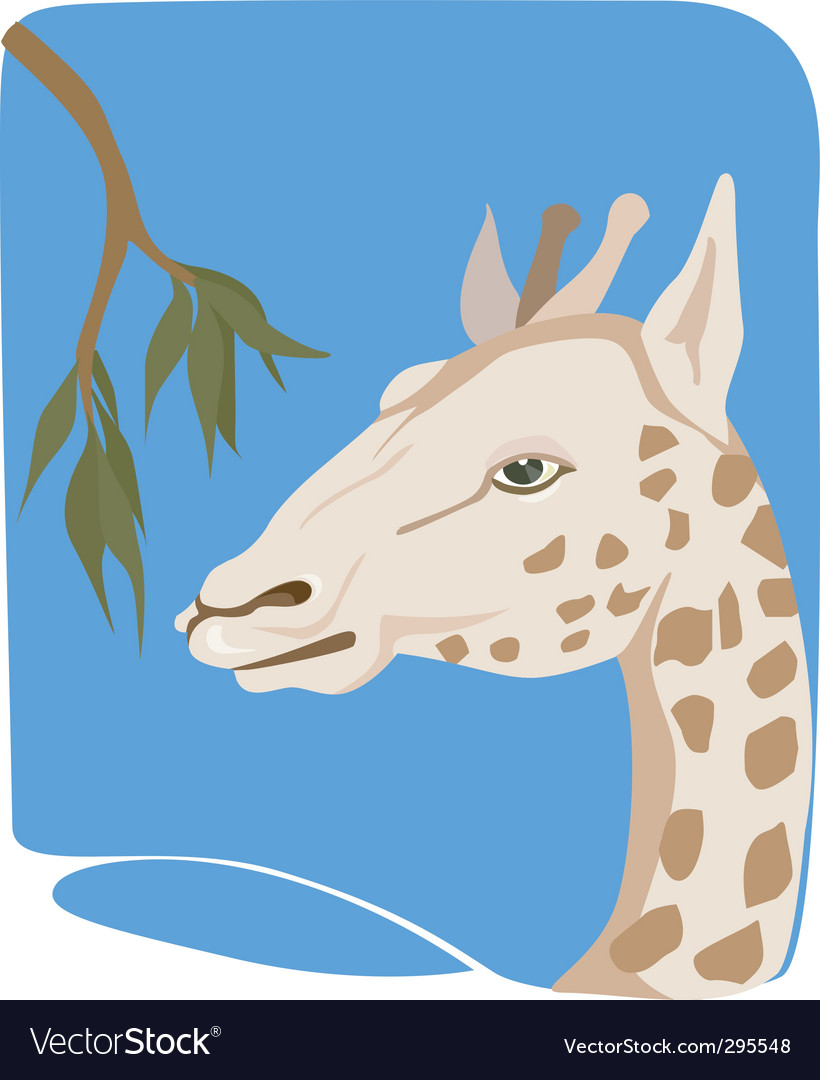 Giraffe Royalty Free Vector Image - VectorStock