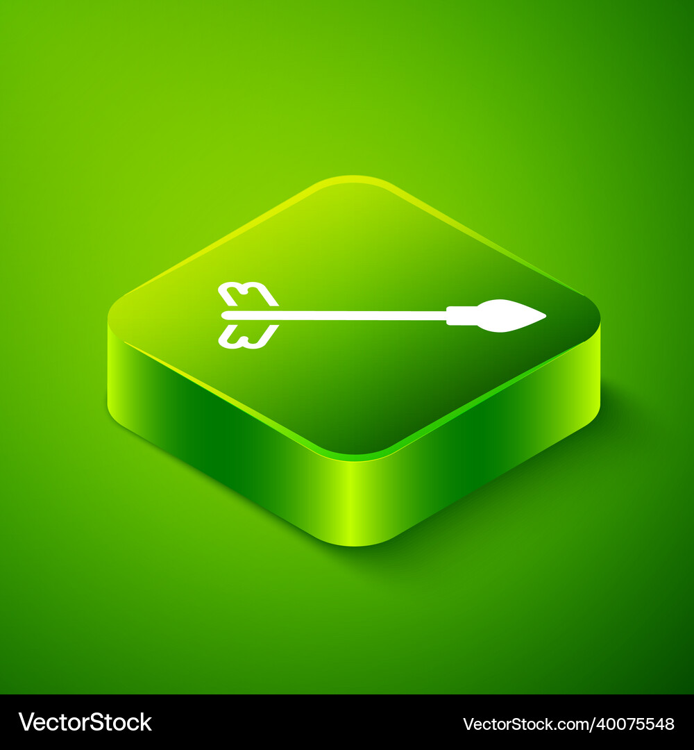 Isometric medieval arrows icon isolated on green Vector Image