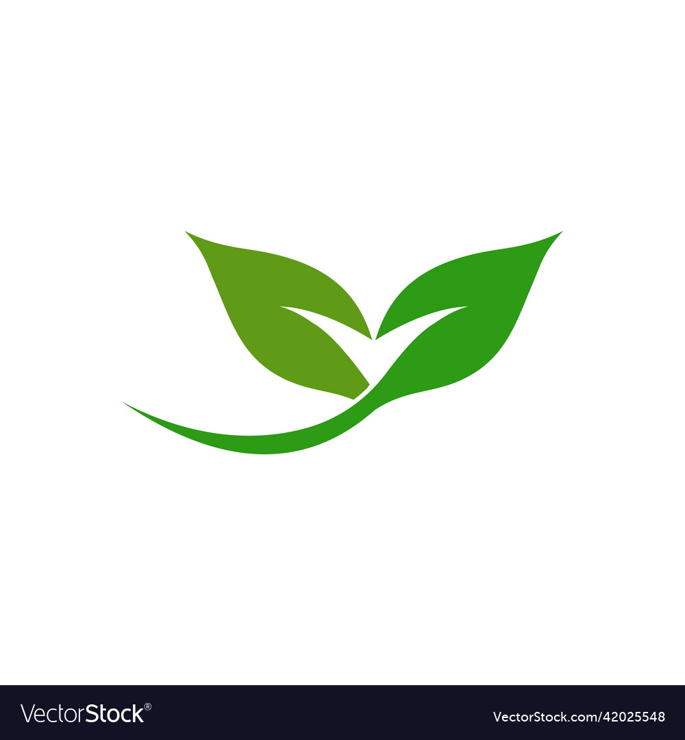 Leaf logo Royalty Free Vector Image - VectorStock