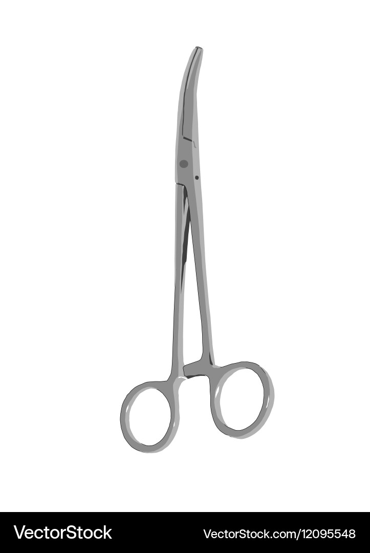 Metal steel forceps curved closed Royalty Free Vector Image