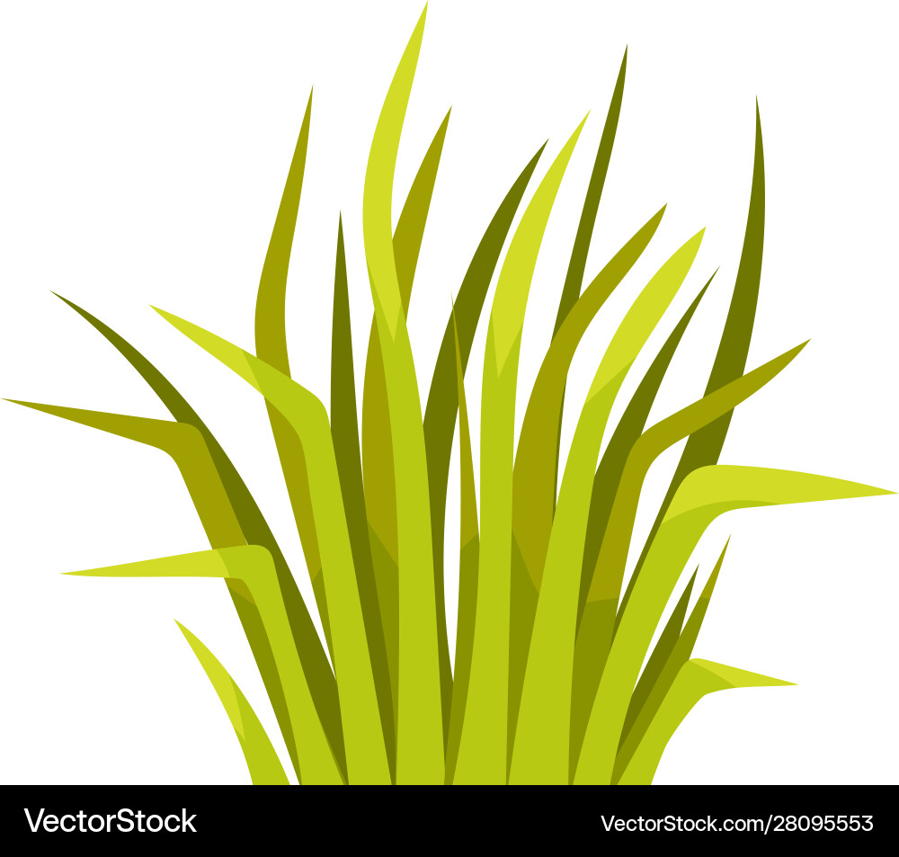 Bunch grass on a white Royalty Free Vector Image