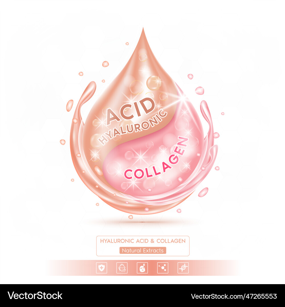 Drop pink collagen solution serum and hyaluronic Vector Image