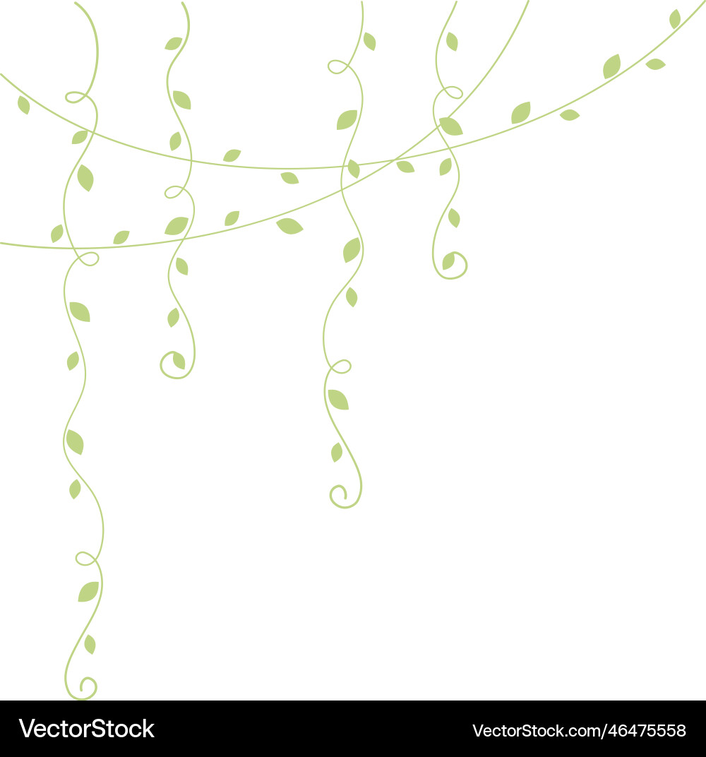 Green hanging vines simple minimal floral Vector Image