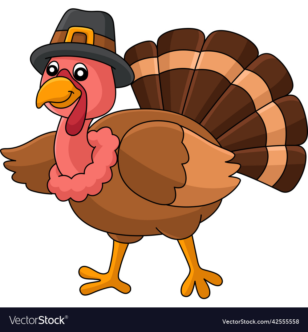 Thanksgiving turkey pilgrim hat cartoon clipart Vector Image